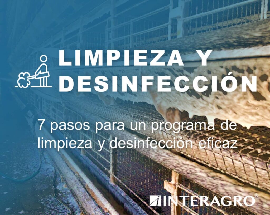 7 pasos para un programa de limpieza y desinfección eficaz - Interagro ...