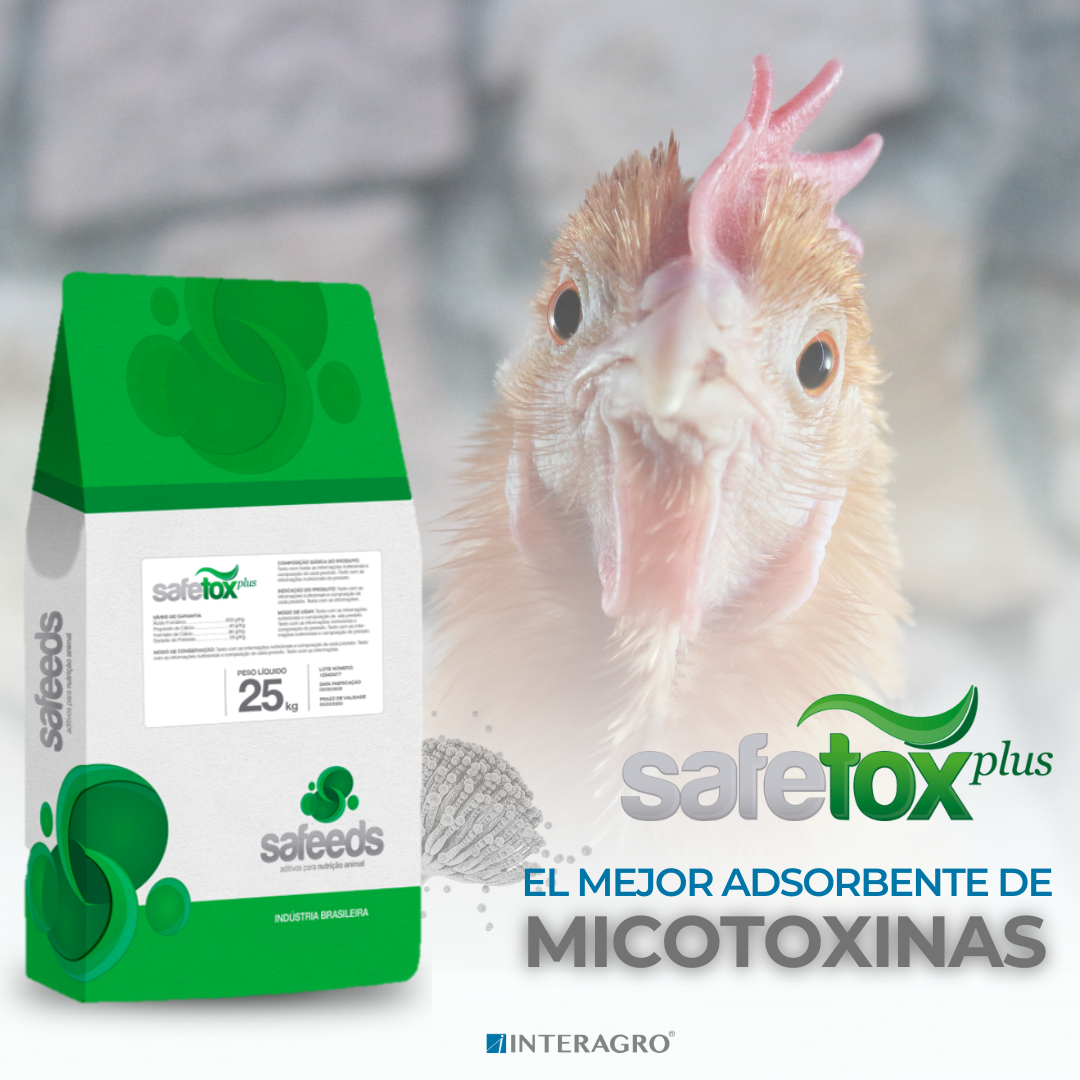 Las Micotoxinas y su efecto inmunodepresor en las aves - Interagro, S.A.
