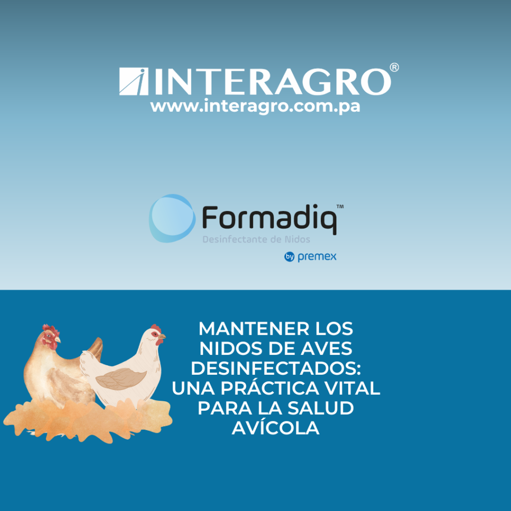 Inicio - Interagro, S.A.